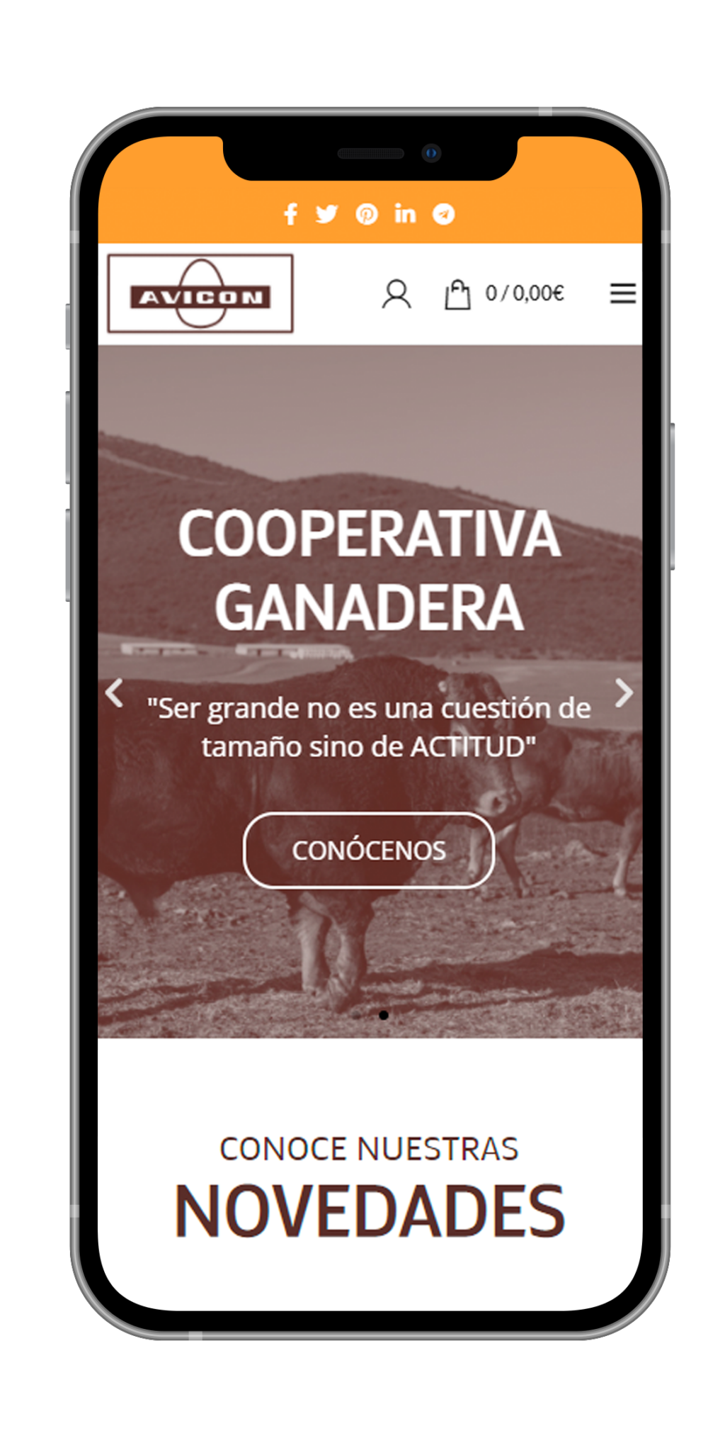 Descubre cómo se fabrica el pienso de tu ganado en cuatro pasos